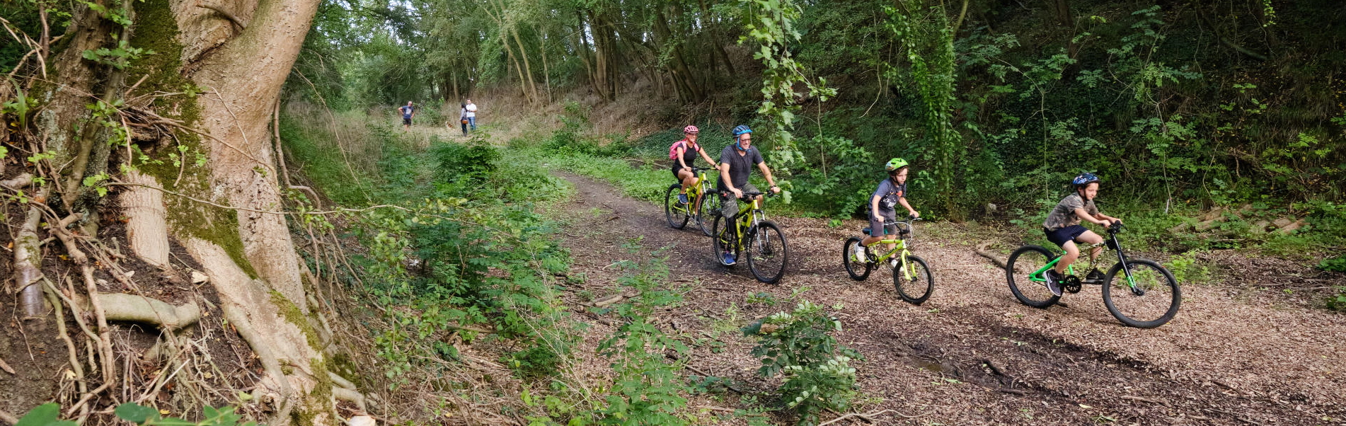 Home - Walk Wheel Cycle Trust