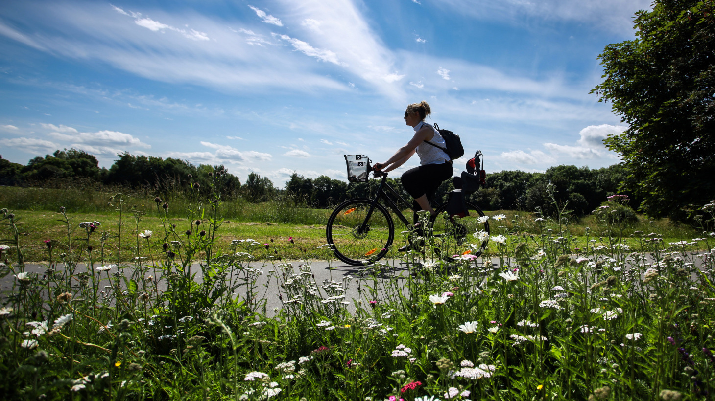 The benefits of drop frames and finding the right cycle for you - Walk ...
