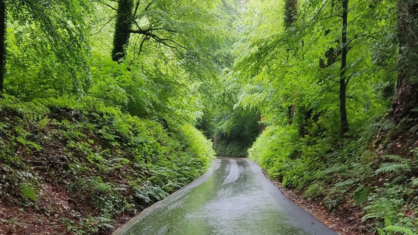 Route upgrade: Knightshayes, Devon - walkwheelcycletrust.org.uk