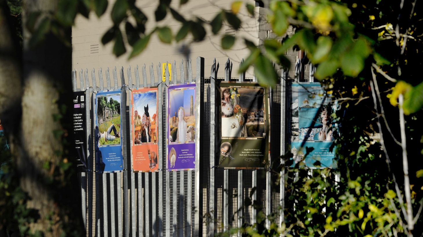 Disability History Month events to take place along the National Cycle ...