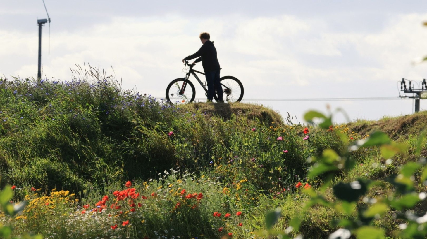 Community-designed park opens on Orkney - Walk Wheel Cycle Trust