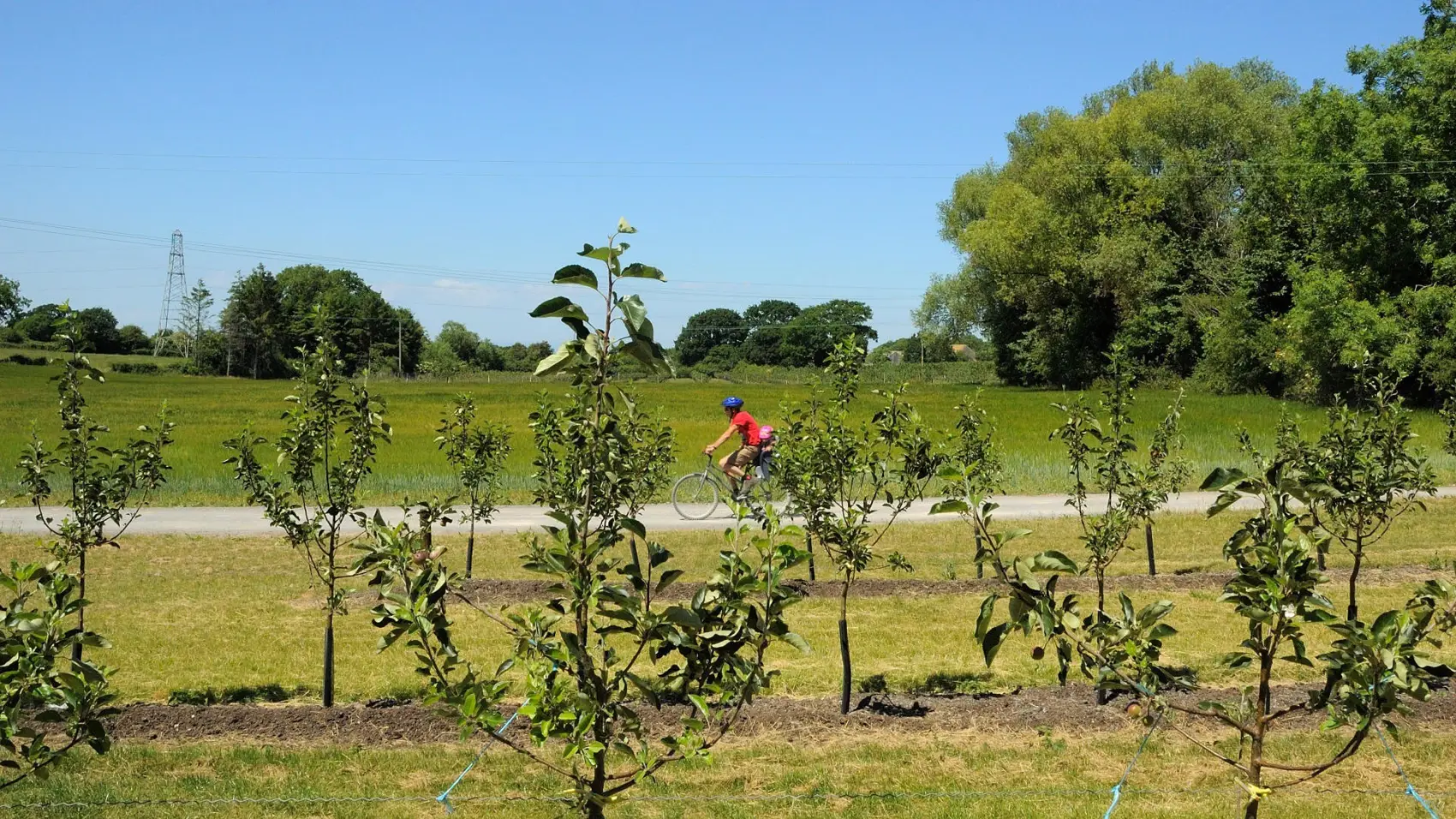 Strawberry Line - Walk Wheel Cycle Trust