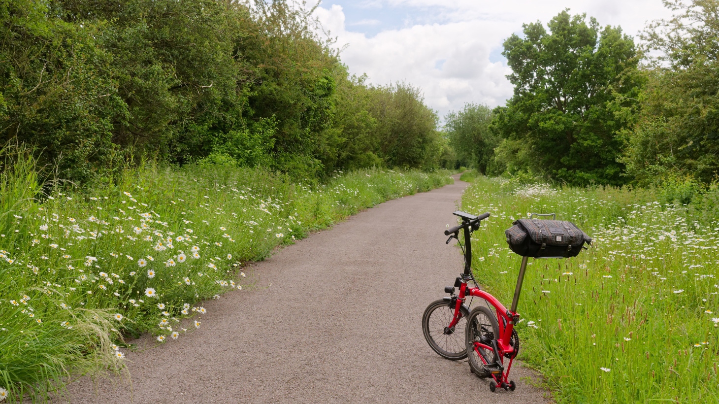 The volunteers helping nature to thrive on the National Cycle Network ...