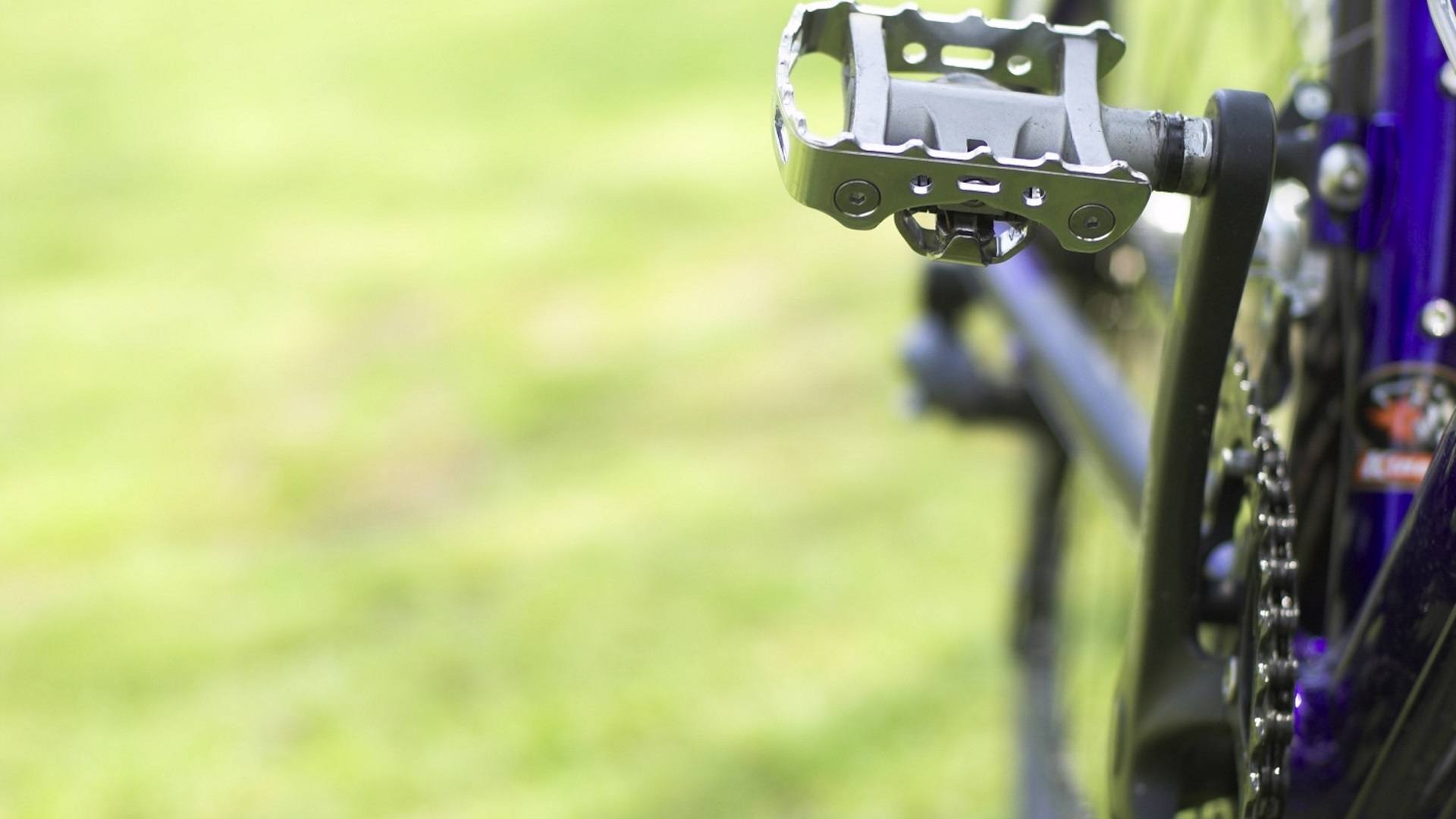 Alban Way - Walk Wheel Cycle Trust