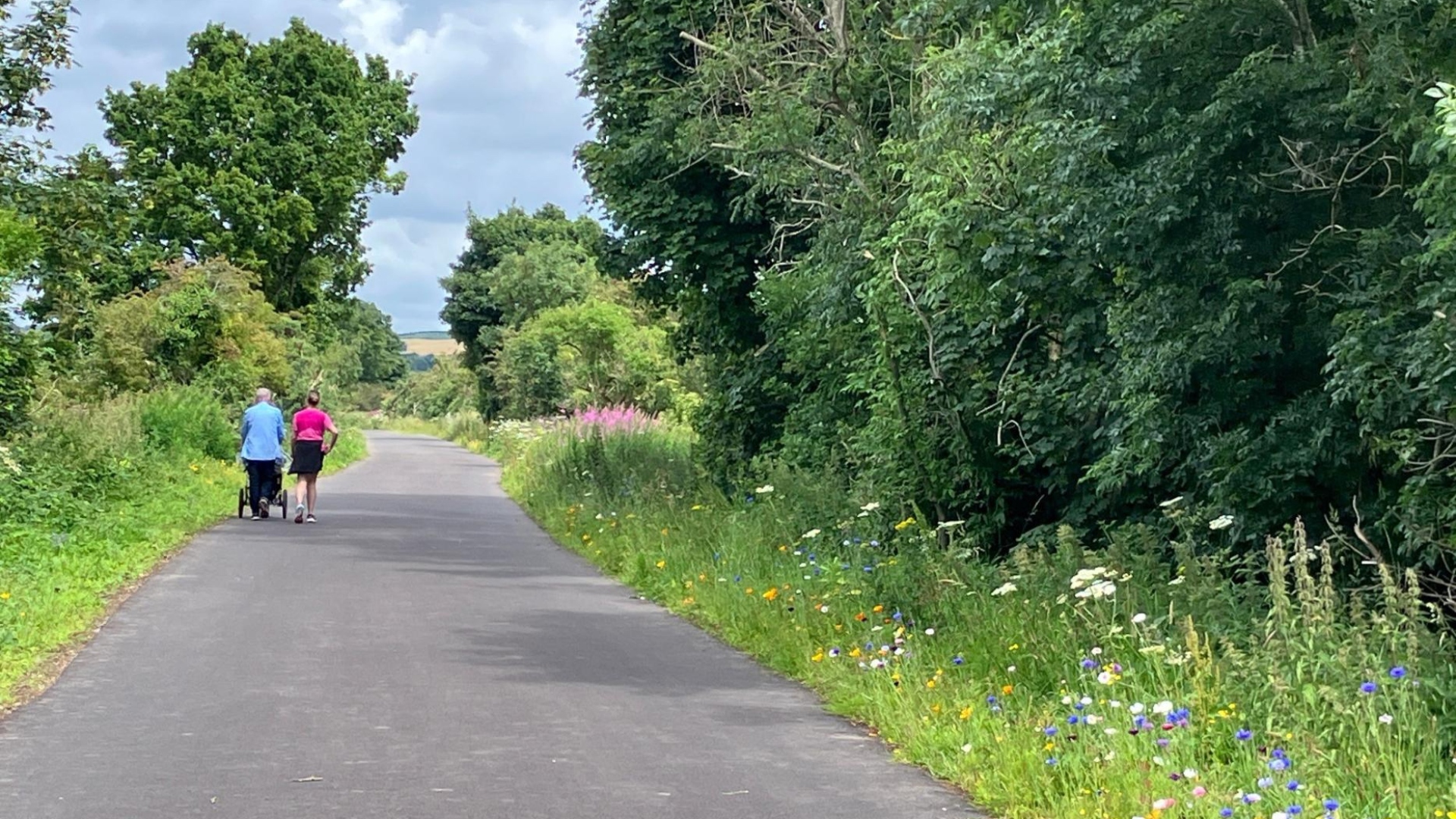 Comber Greenway (Route 99) - Walk Wheel Cycle Trust