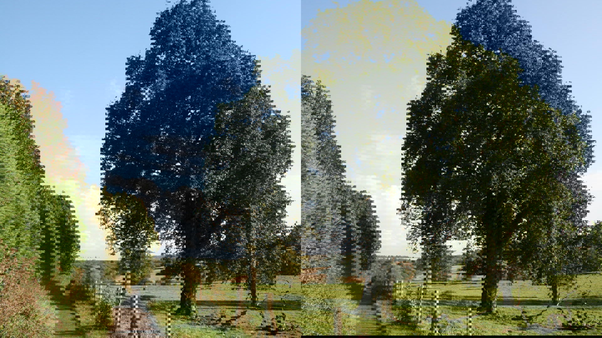 Avenue Verte - Walk Wheel Cycle Trust