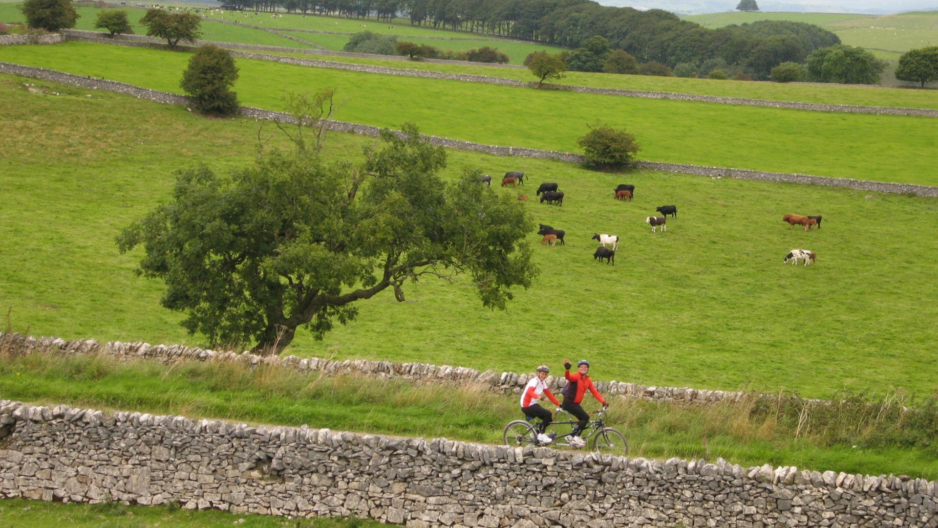 High Peak Trail - Walk Wheel Cycle Trust