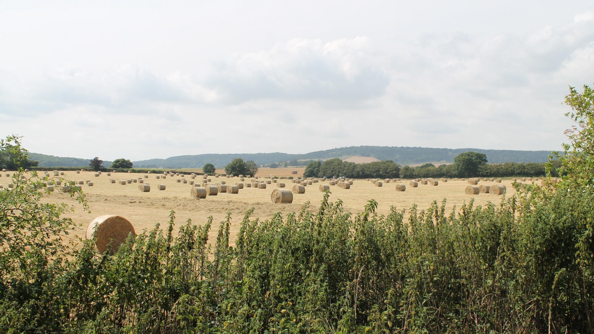 Centurion Way - Walk Wheel Cycle Trust