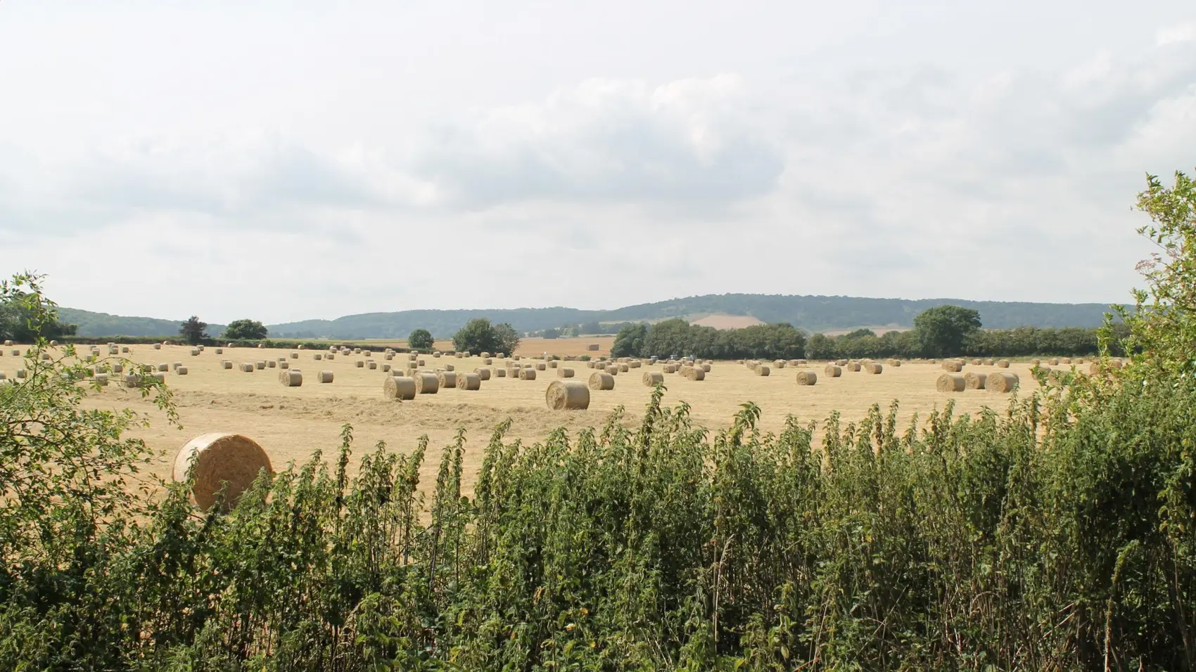 Centurion Way - Walk Wheel Cycle Trust