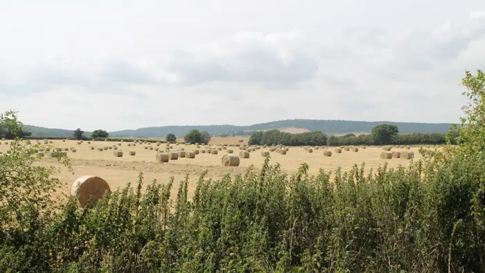 Centurion Way - Walk Wheel Cycle Trust