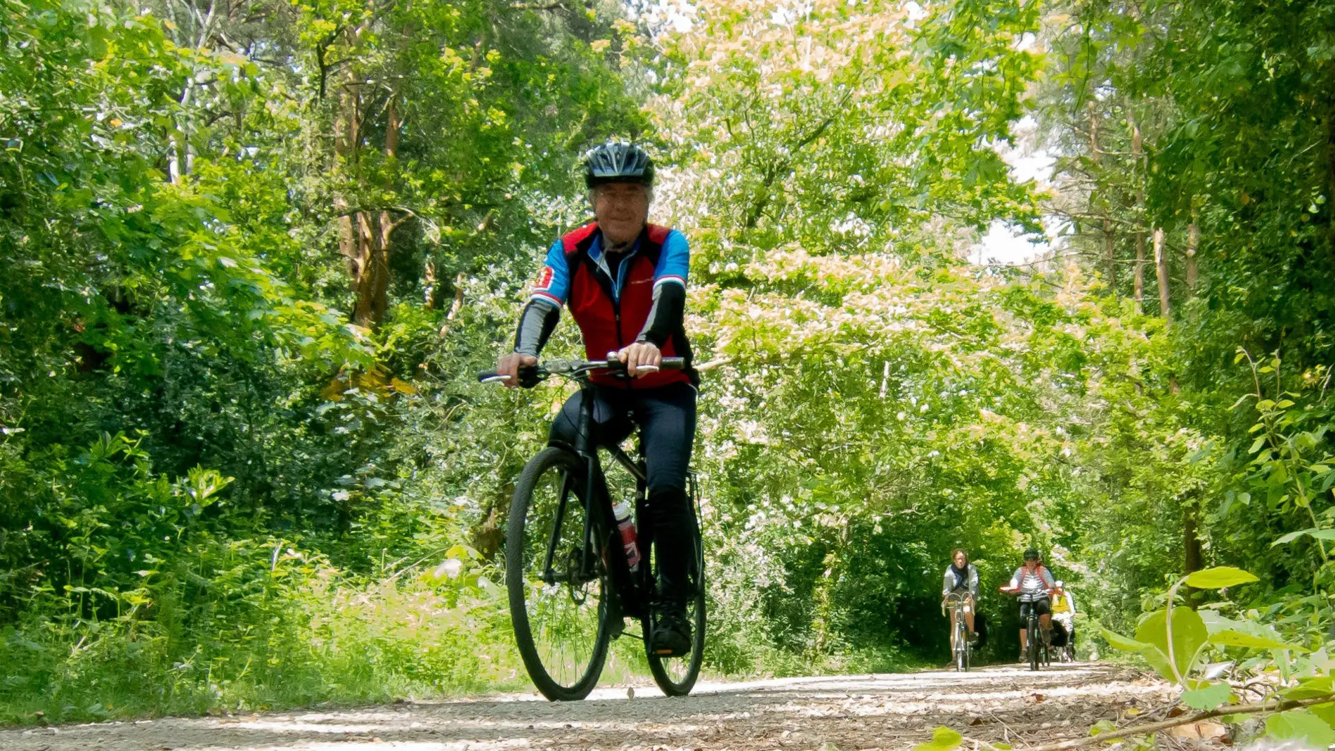 Bath to Bournemouth - Walk Wheel Cycle Trust