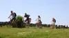 Downs Link - Walk Wheel Cycle Trust