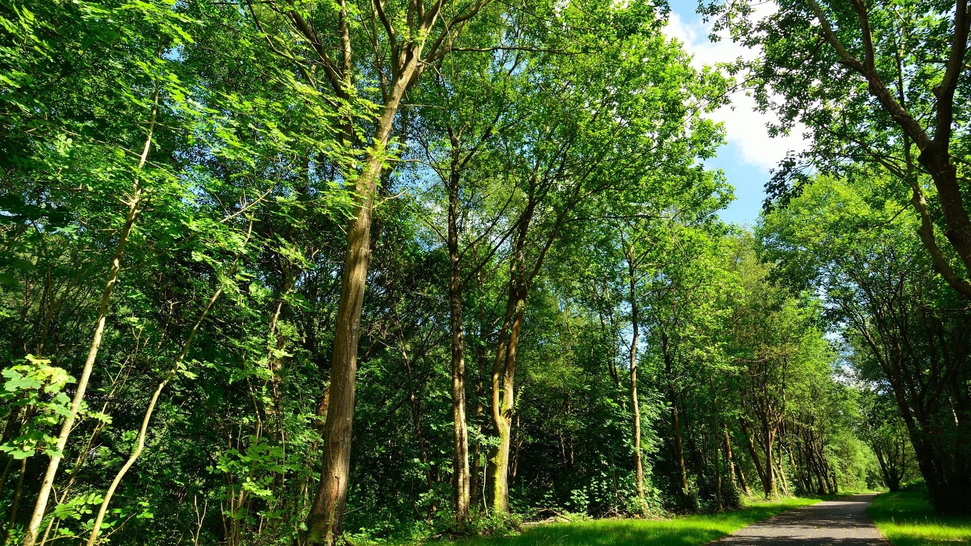 Our favourite low-traffic walking and cycling routes for summer - Walk ...