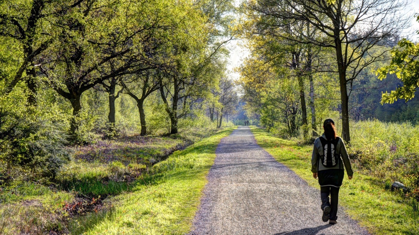 Walk Wheel Cycle Trust and partners call for access to nature to be ...