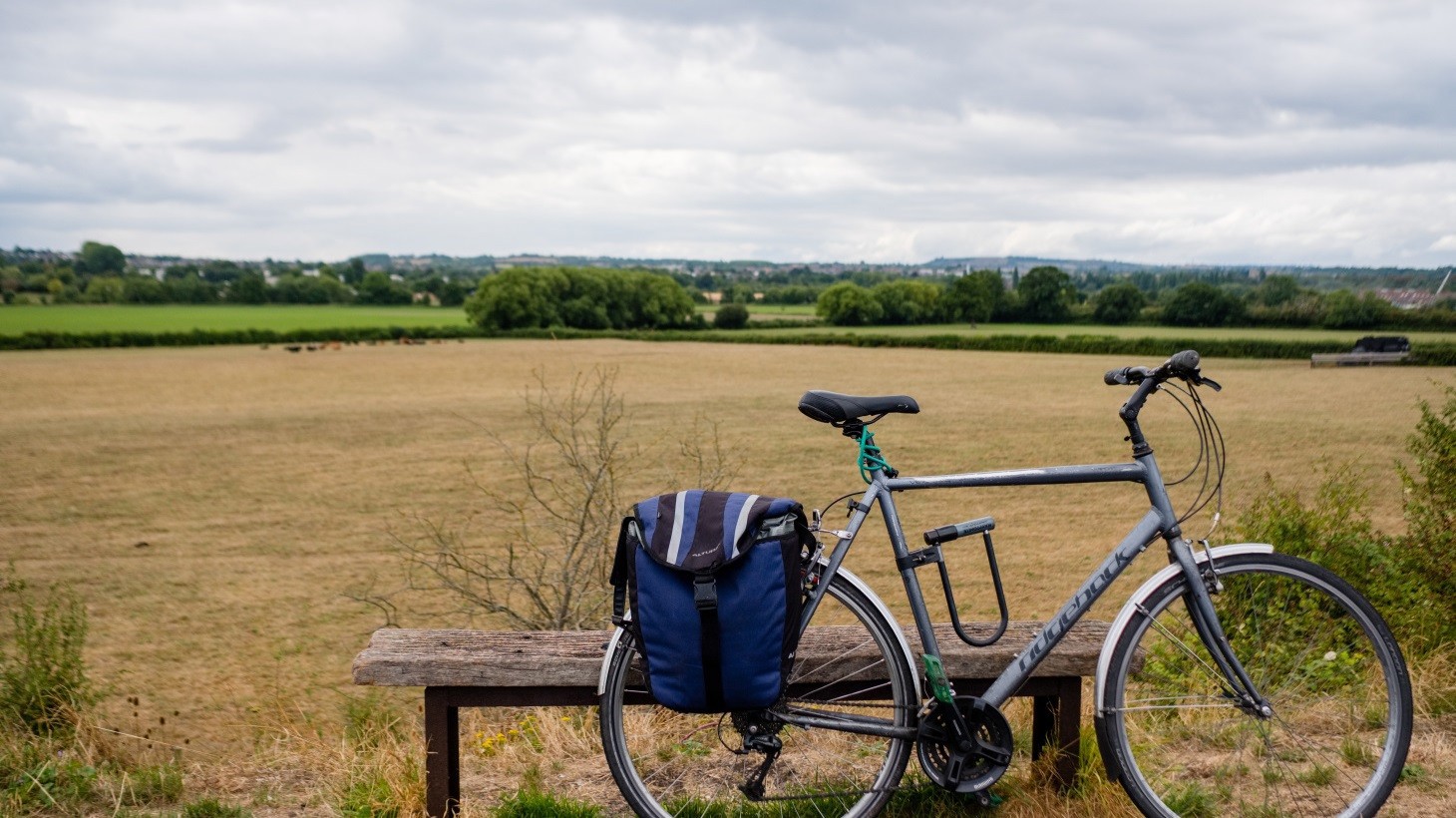 Celebrating Earth Day - Walk Wheel Cycle Trust
