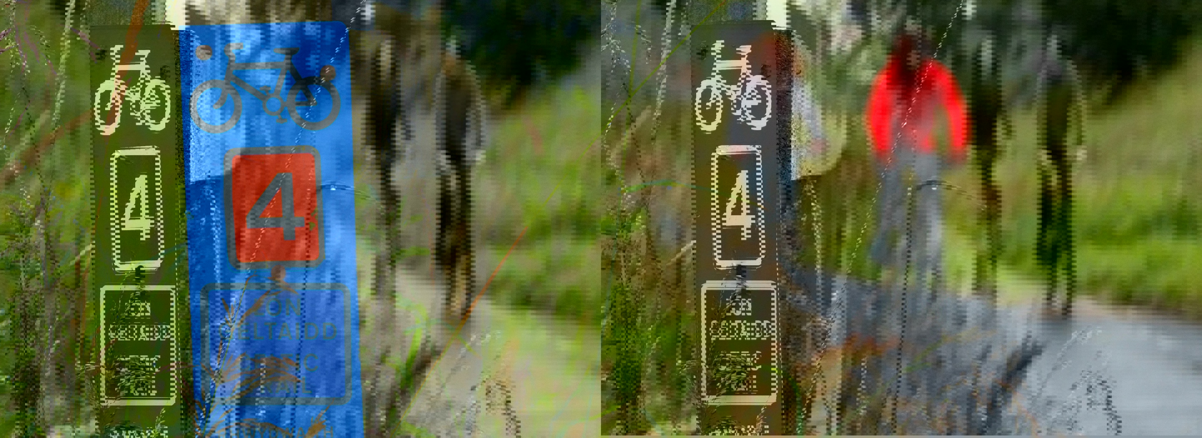 The National Cycle Network in Wales - Walk Wheel Cycle Trust