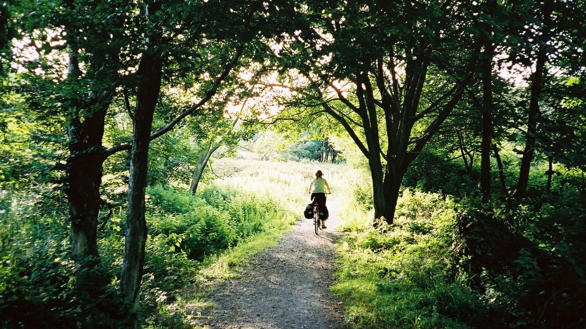 Route 5 - Walk Wheel Cycle Trust