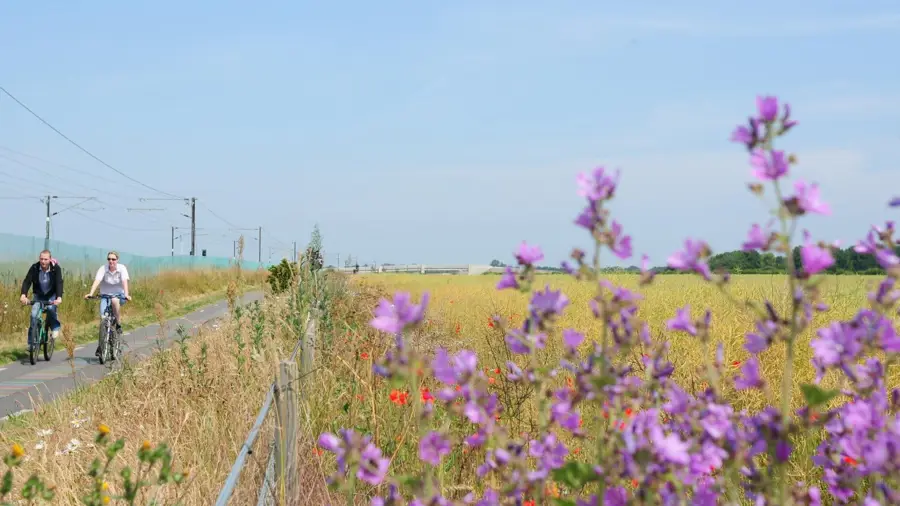 Great Shelford to Waterbeach via Cambridge - Walk Wheel Cycle Trust