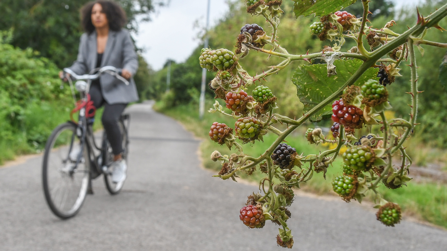 Community celebrate improvements to Foss Islands Path in York - Walk ...