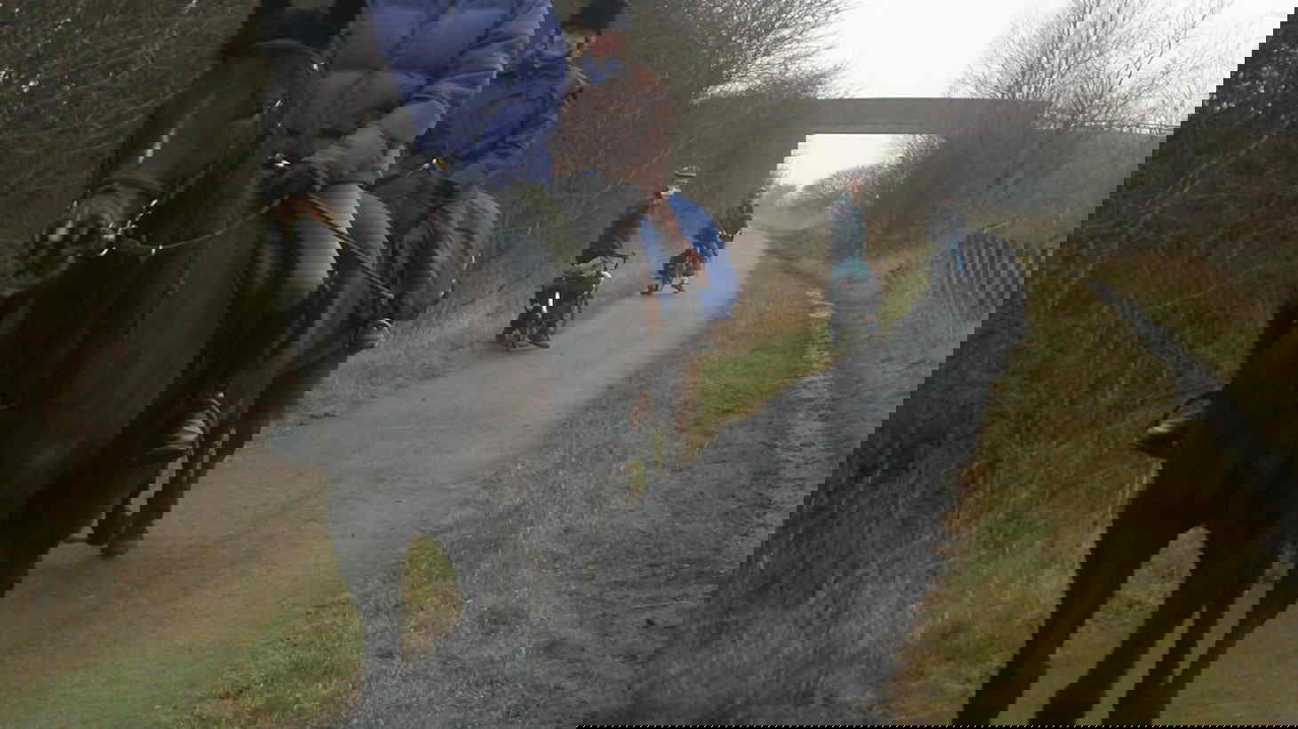 Work starts to improve Trans Pennine Trail in South Yorkshire - Walk ...